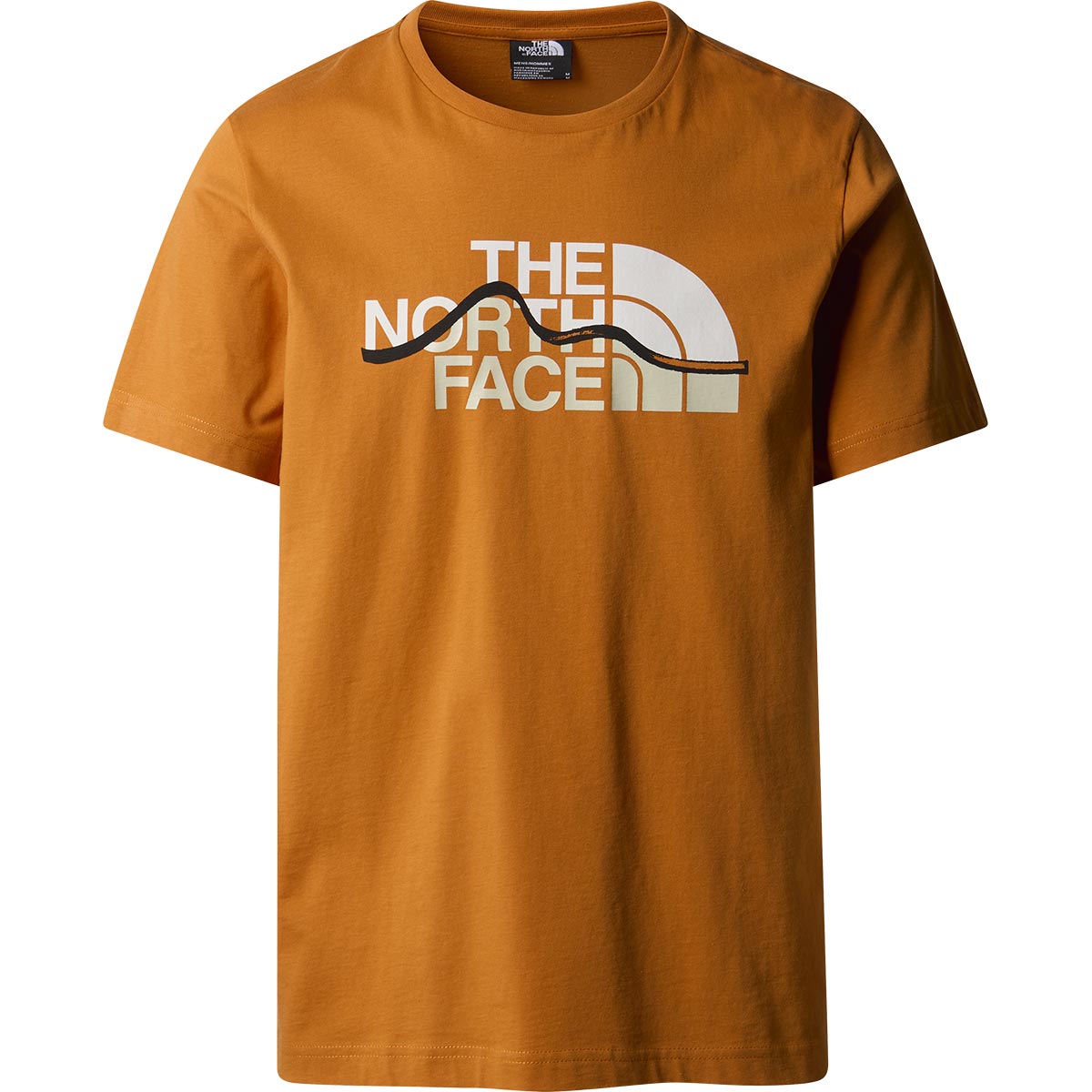 The north face mountain line store